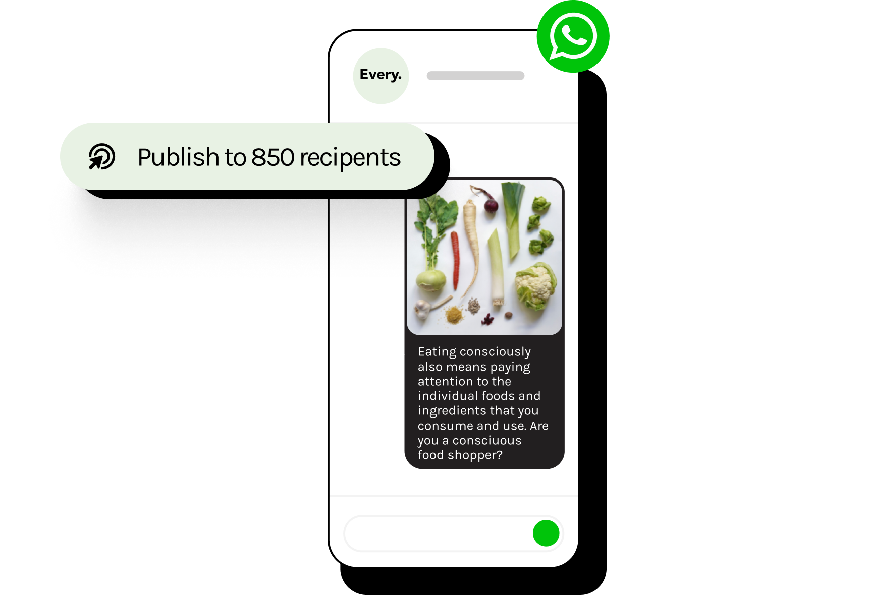 WhatsApp marketing 101: a guide [+WhatsApp campaign examples]